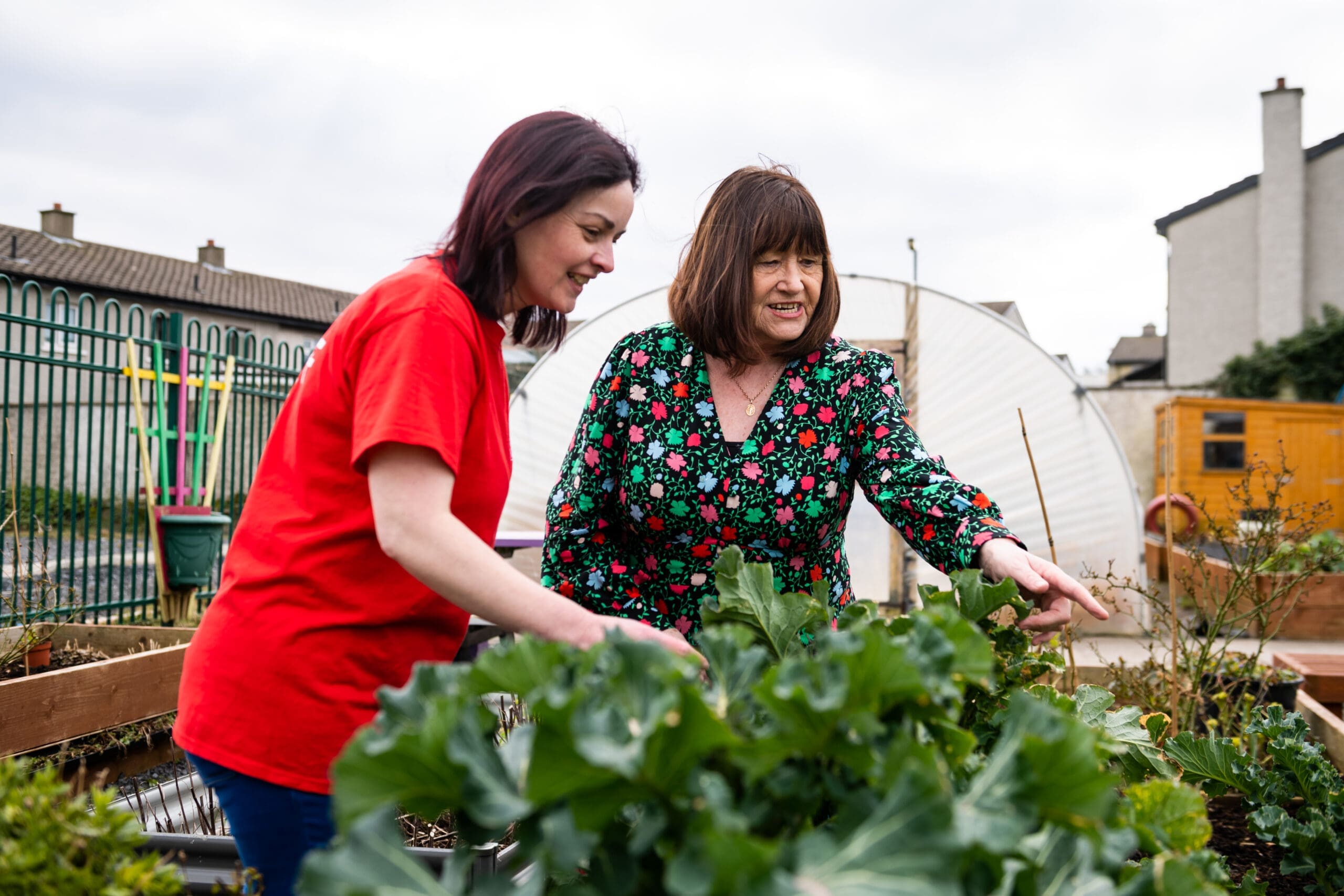 A Greener Tomorrow through Community Education: Free Training with €1,000 Support | Aontas