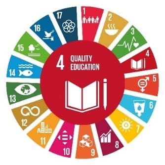 Is Ireland achieving the United Nations Sustainable Development Goals ...